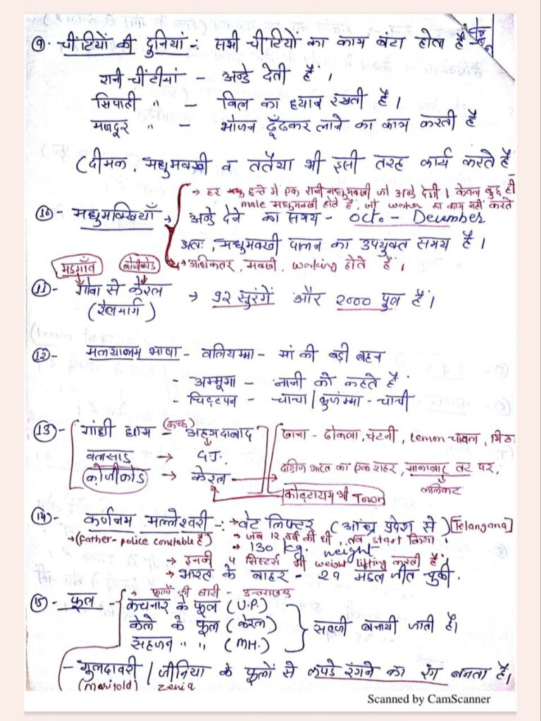 CTET EVS Notes PDF in Hindi: Free Handwritten Notes Download